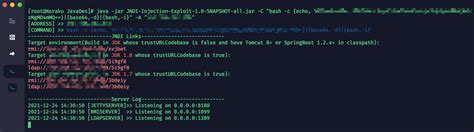 Log4j JNDI注入RCE 风渐远 极客文档