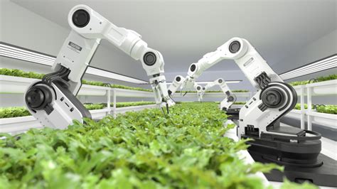 Is The Agricultural Sector Ready For Advanced Automation In Africa Is The Agricultural Sector Ready For Advanced Automation In Africa