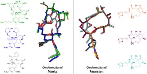 Conformation Activity Relationships Of Polyketide Natural Products Abstract Europe Pmc