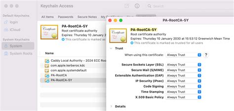 Palo Alto How To Configure Ssl Decryption
