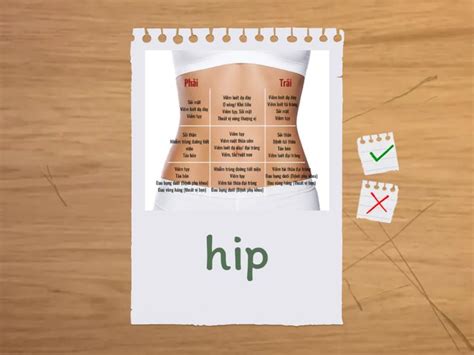 Parts Of The Body Flash Cards