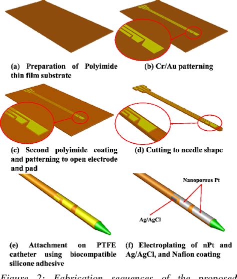 Figure 1 From Semi Implantable Polyimide Ptfe Needle Shaped Biosensor For Continuous Glucose