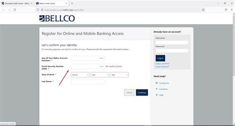 See Bug Description · Issue 110118 · Webcompatweb Bugs · Github