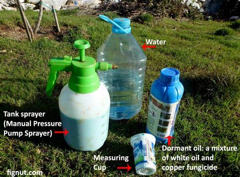 Dormant Oil Sprays On Fruit Trees With Photos And Videos Fignut