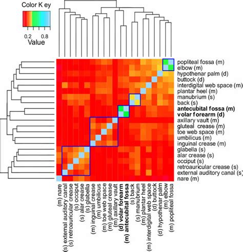 Pairwise Similarity For Skin Dataset Similarity Between Different Skin