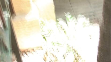 Danielle Ftv Model Page Xvideos Com