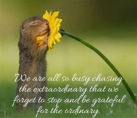 Julia Ruttle Posted On Linkedin