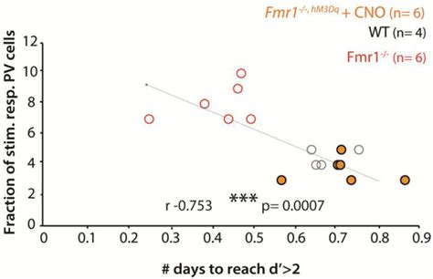Correlation Between Task Performance And Pv Cells Corresponds To Data