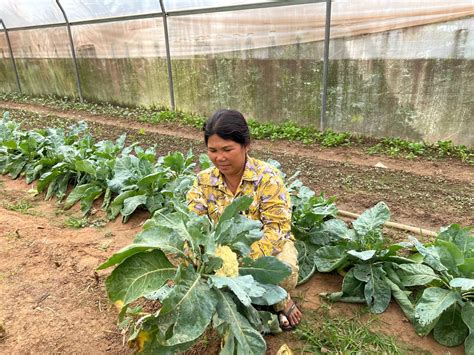 ទំព័រដើម អគ្គនាយកដ្ឋានវិទ្យុជាតិ