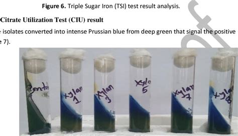 Citrate Utilization Test CIU Result Analysis Carbohydrate Download Scientific Diagram