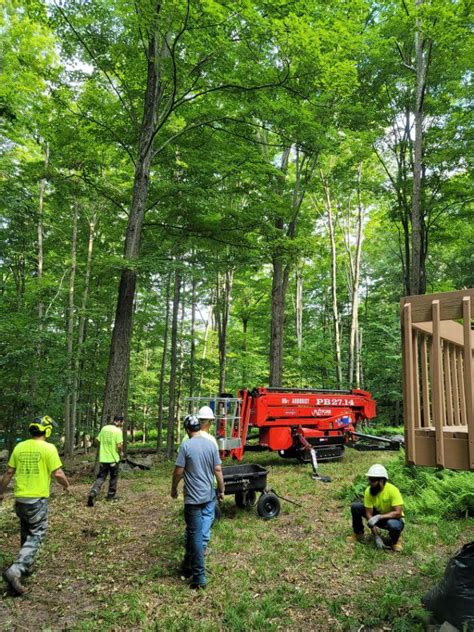 Gallery Reasonable Tree Experts