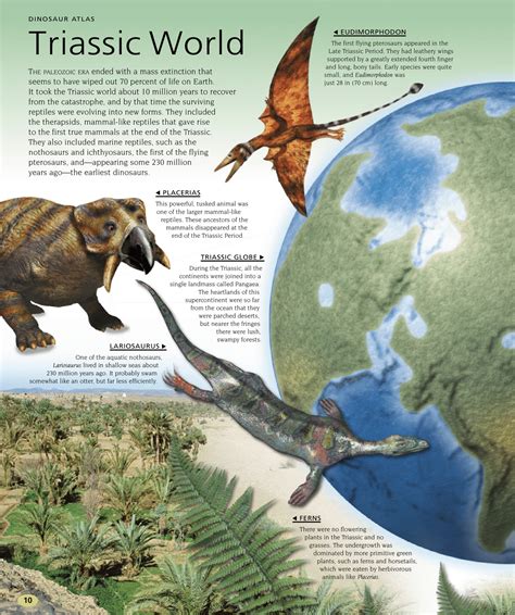 Biology The Triassic World Facebook