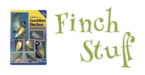 Gouldian Finch Mutations Back Body And Head Colour Genetics Made Simple
