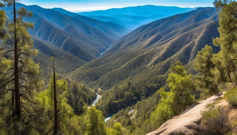Explore Southern California Forests Natures Gem
