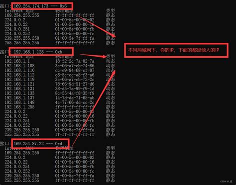 用cmd查看当前局域网的ipcmd 读取局域网 不同网段ip Csdn博客