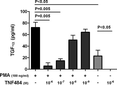 Adam17 Mediated Tgf Shedding In Cultured Human Proximal Tubular Cells Download Scientific