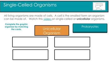 Cell Introduction By Intersecting Intermediate TPT