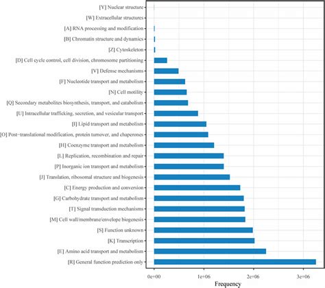 Cogs Metagenome Functional Predictions Of Otus From Microbiome In The
