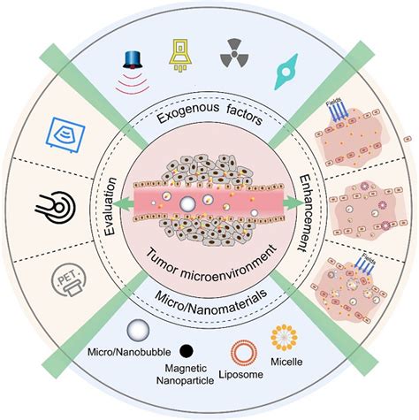 EPR Effect Special Issue
