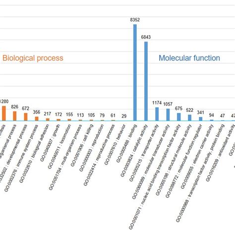 Gene Ontology Classification Download Scientific Diagram