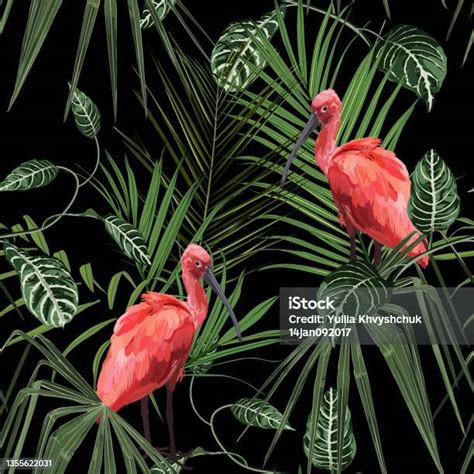 새 스칼렛 이비스는 야자수 잎을 가진 덤불에 있습니다 손으로 그린 그림 검은 색 배경에 열대 정글 0명에 대한 스톡 벡터 아트 및 기타 이미지 Istock