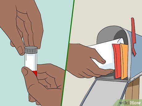 Ways To Test For STDs At Home WikiHow