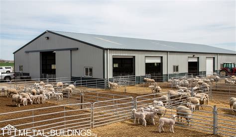 Sheep Barn Metal Building Complete Cost Guide 2026