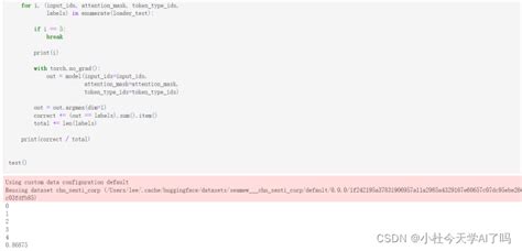 Huggingface 中文模型实战——中文文本分类 Csdn博客