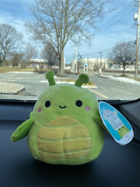 Say Hello To My New Second Non Binary Squish Pilar Their Birthday Is