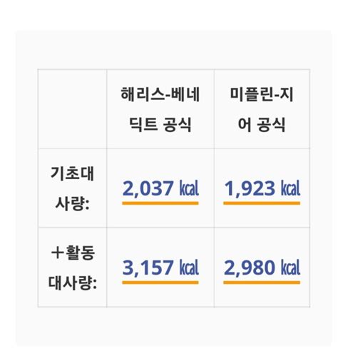 기초대사량 활동대사량 지식in