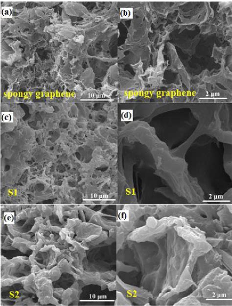 Figure 1 From Preparation Of Graphene Polymer Composite Sponge For Pressure Sensing Application