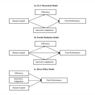 Theoretical Presentation Of The Three Models Note FLT Flexible Download Scientific Diagram