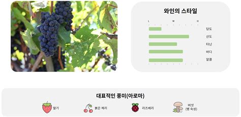 4화 여왕이란 표현이 어울리는 품종 피노 누아 대표 적포도 품종 2편 콜라블 술 술酒 콘텐츠