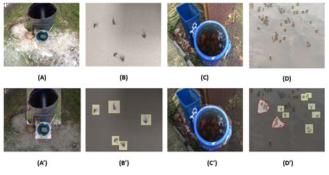 Automated Web Based Malaria Detection System With Machine Learning And