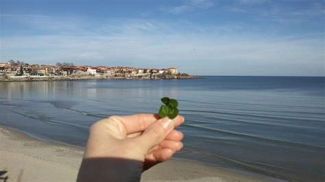 Кръжок Четящият студент четящото дете ВТУ ПФ “Трябва да разберем като граждани и като