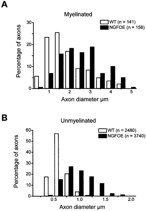 Distribution Of Myelinated A And Unmyelinated B Axons In The Download Scientific Diagram