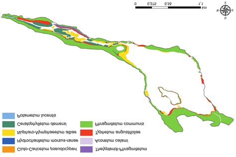 Map Of The Distribution Of Macrophyte Communities In Lake Swarzêdzkie Download Scientific