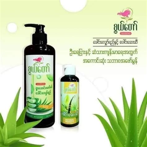 စွယ်တော် သဘာ၀ ရှားစောင်းလက်ဖက်ပင်ခေါင်းလျှော်ရည် စွယ်တော် ဆံပင်သန်ပေ