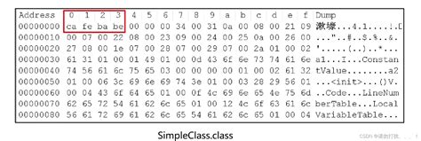Java字节码文件java Version 65 Csdn博客 Java字节码文件java Version 65 Csdn博客
