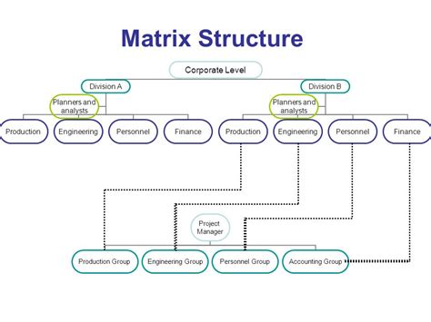 Management Structure