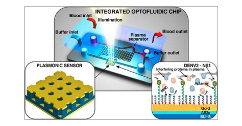 Dna Modified Plasmonic Sensor For The Direct Detection Of Virus