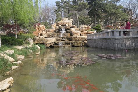浮山校区植物园 青岛大学基建处