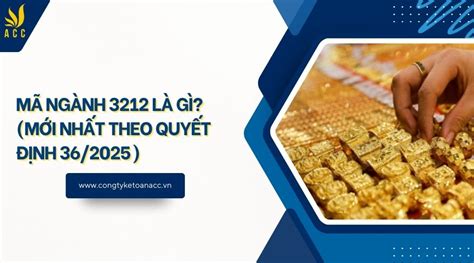 Mã Ngành 3212 Là Gì Mới Nhất Theo Quyết định 362025 Công Ty Dịch