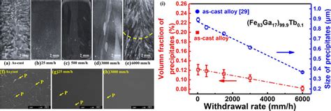 A E Macrostructure Of The Longitudinal Section Surface For As Cast