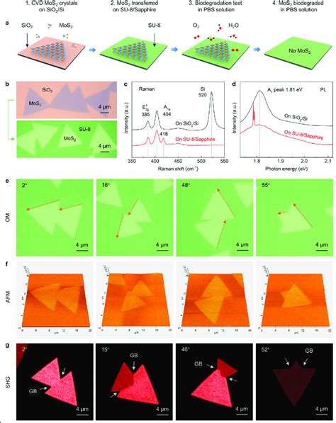 Cvd Grown Monolayer Mos 2 Crystals With Different Crystallographic