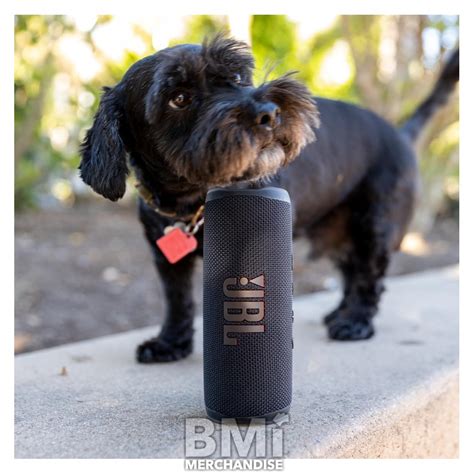 Jbl Flip Splashproof Bluetooth Speaker