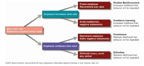 Reinforcement Theory Of Motivation Punishment Extinction Paper Tyari