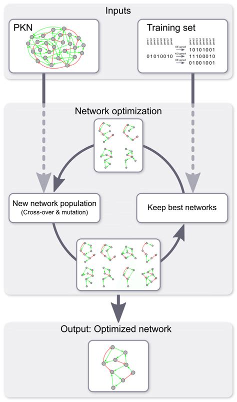 Optimization Method Our Network Optimization Method Takes As Input A Download Scientific
