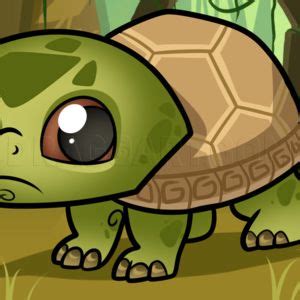 How To Draw Turtles Step By Step Drawing Guide By MauAcheron Turtle Drawing Drawings