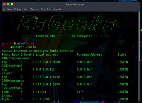 Escanear Puertos Abiertos Con Ss Netstat Lsof Y Nmap Esgeeks
